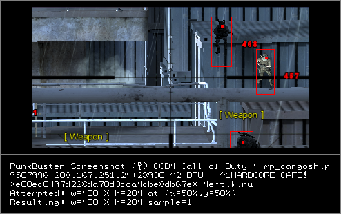 Call of duty 4 punkbuster update - riskpolre